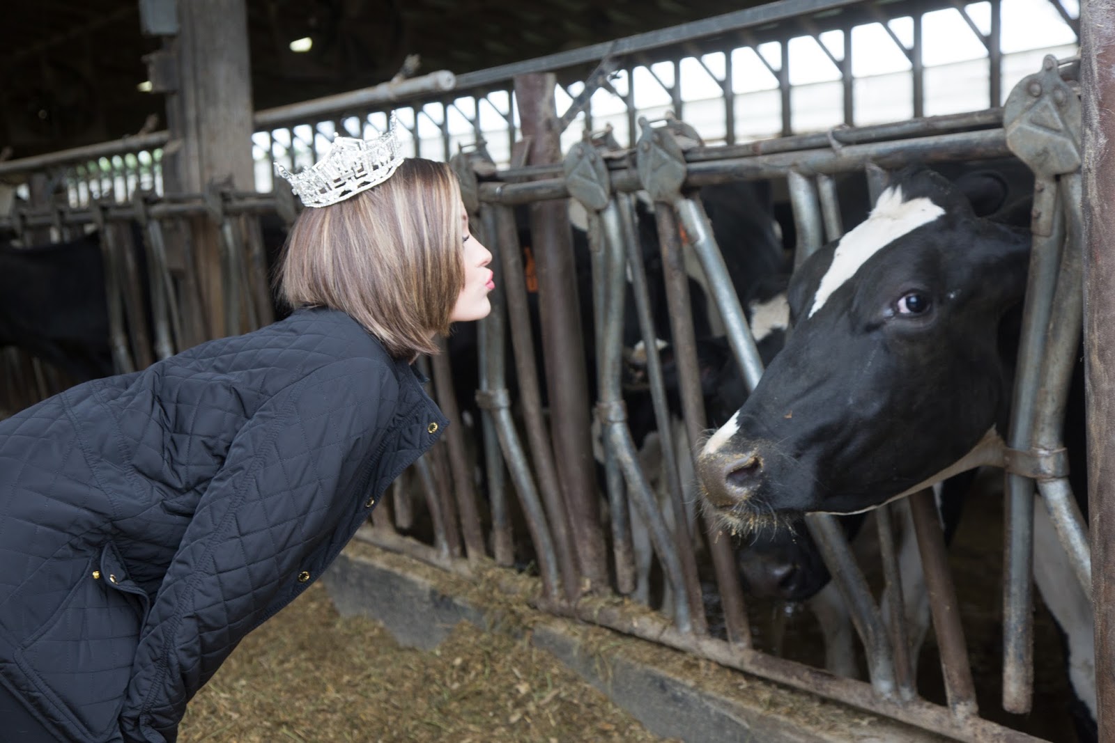 My Barnyard View : Miss America, The Farm Girl
