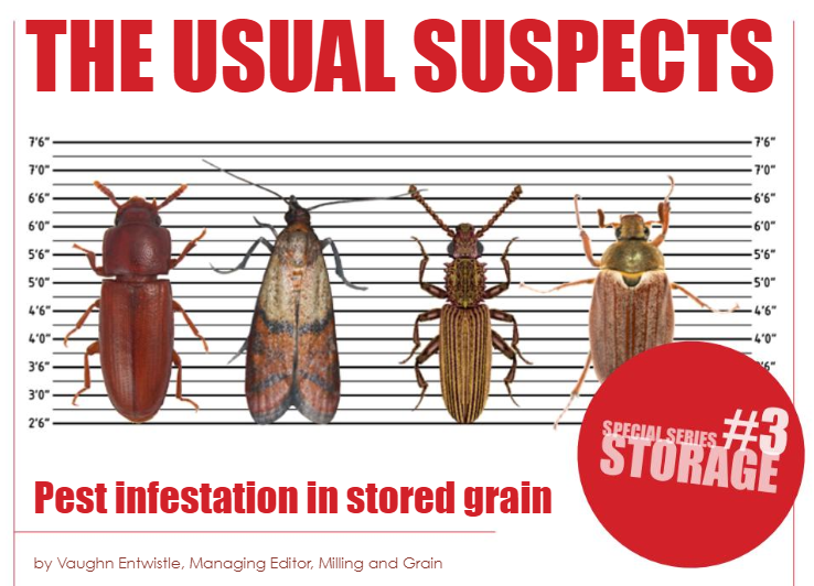 The Global Miller: The Usual Suspects: pest infestation in stored grain