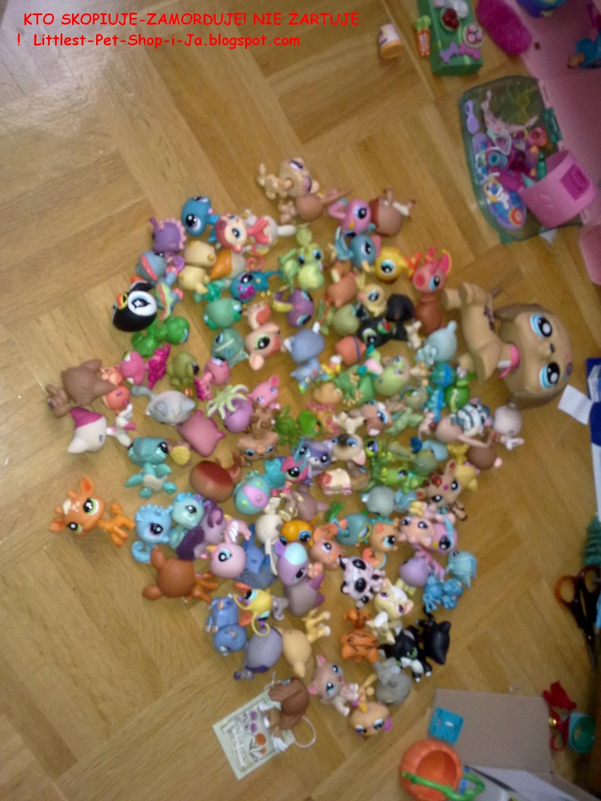 Littlest Pet Shop i ja: Moja Kolekcja LPS