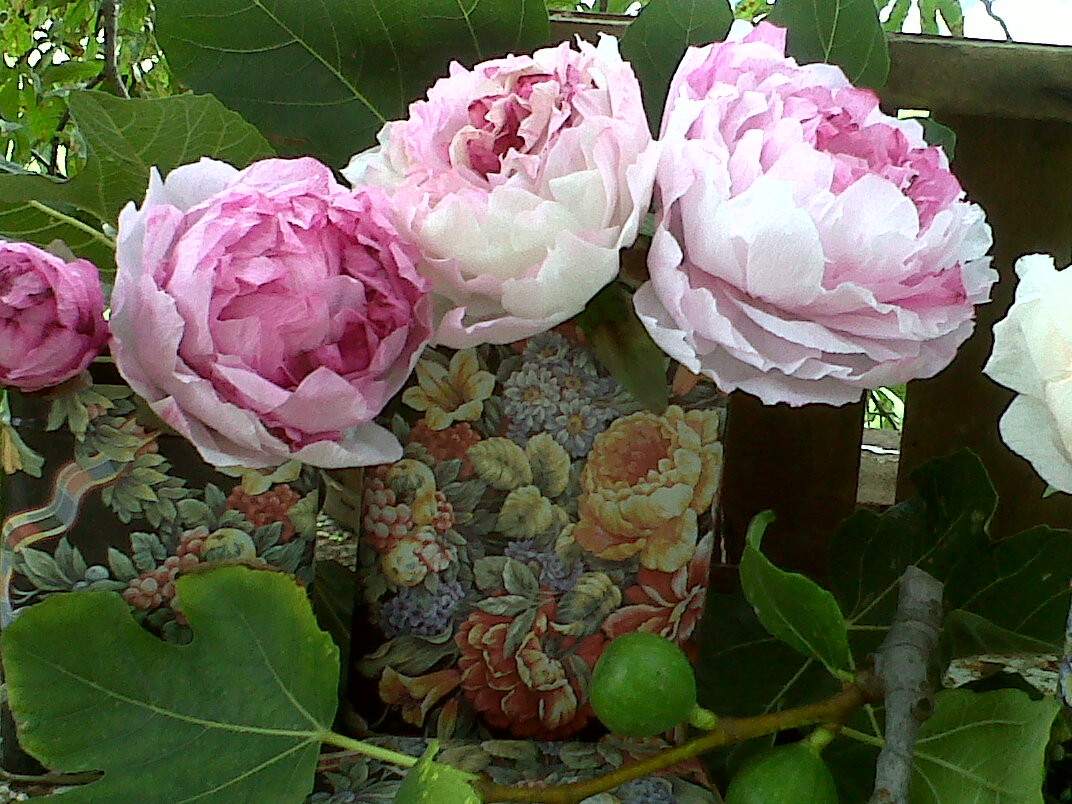 Rozen van Papier: Pioenrozen van papier