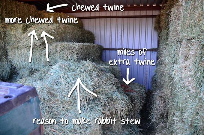 The 7MSN Ranch: Hay bale repair ~ a tutorial