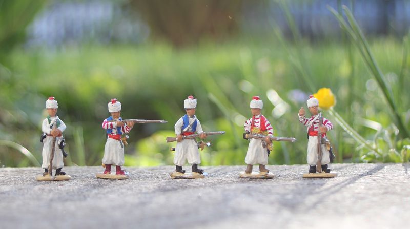 [TMP] "New Ottoman Napoleonic army 1786-1796." Topic