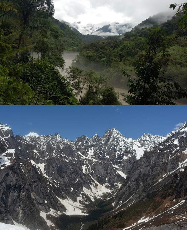 The Itinerant Biologist: Myanmar Expedition: The search for snow leopards