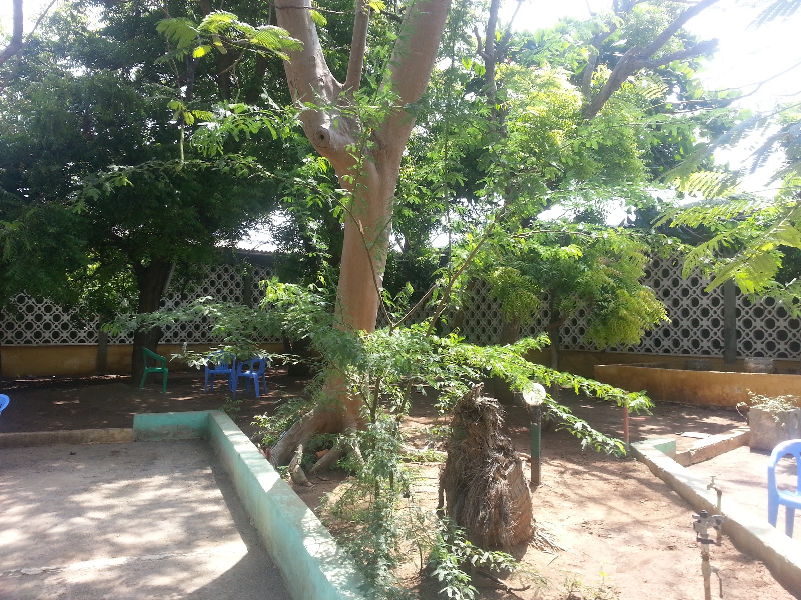 Somalia in Pictures: Somalia - Somali Fruit Mogadishu