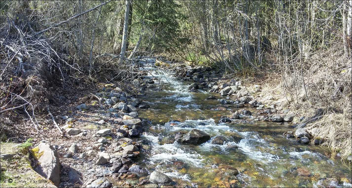 Northern Interior British Columbia: Small Flowing Creek Smithers ...
