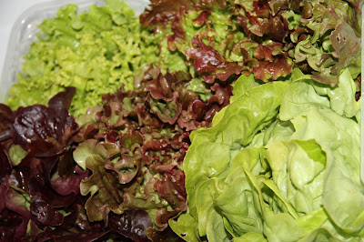 Godt og Sunt: Juli Detox program med basisk mat på menyen