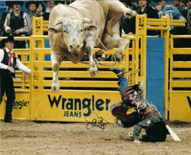 Bucking Bulls