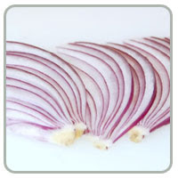 GastroNomia. Glosario: PLUMA