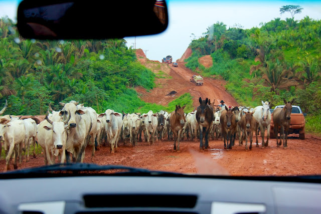 Trans-Amazon Highway | The XM Challenge