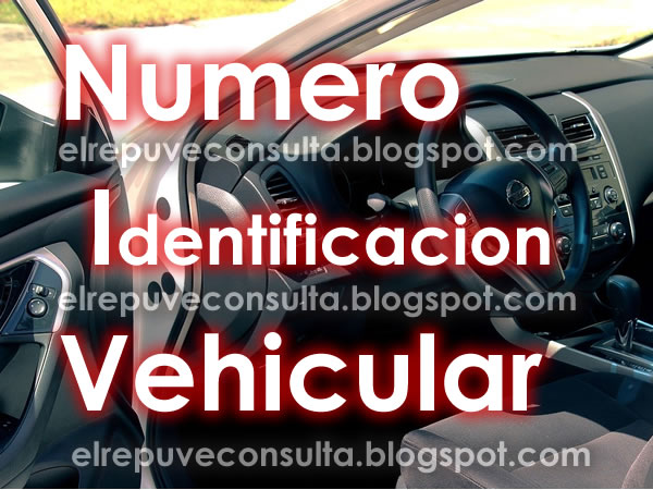 NIV Numero de Identificación Vehicular que es?