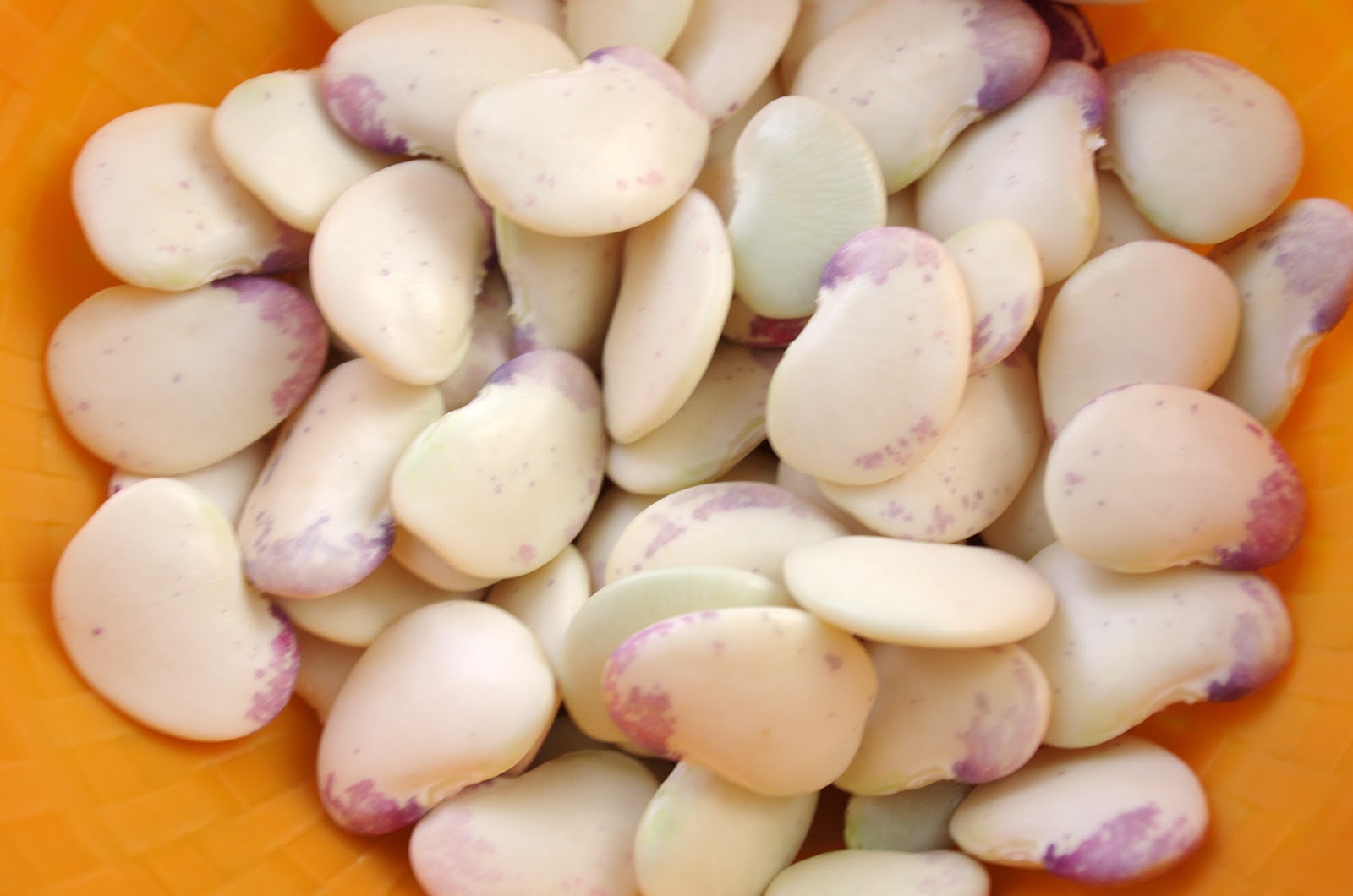 Fentdetutto: Arroz seco de mero, garrofó y setas portobello