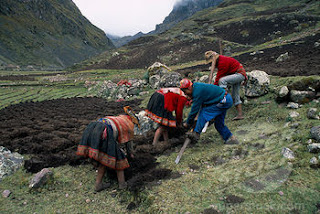 The World Around Us: Environmental Adaptation-Zulu/Andean Indians