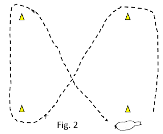 Functional Horsemanship: Arena Patterns - The Basic Square