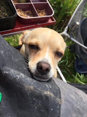 Fishing with Brownings May Potter