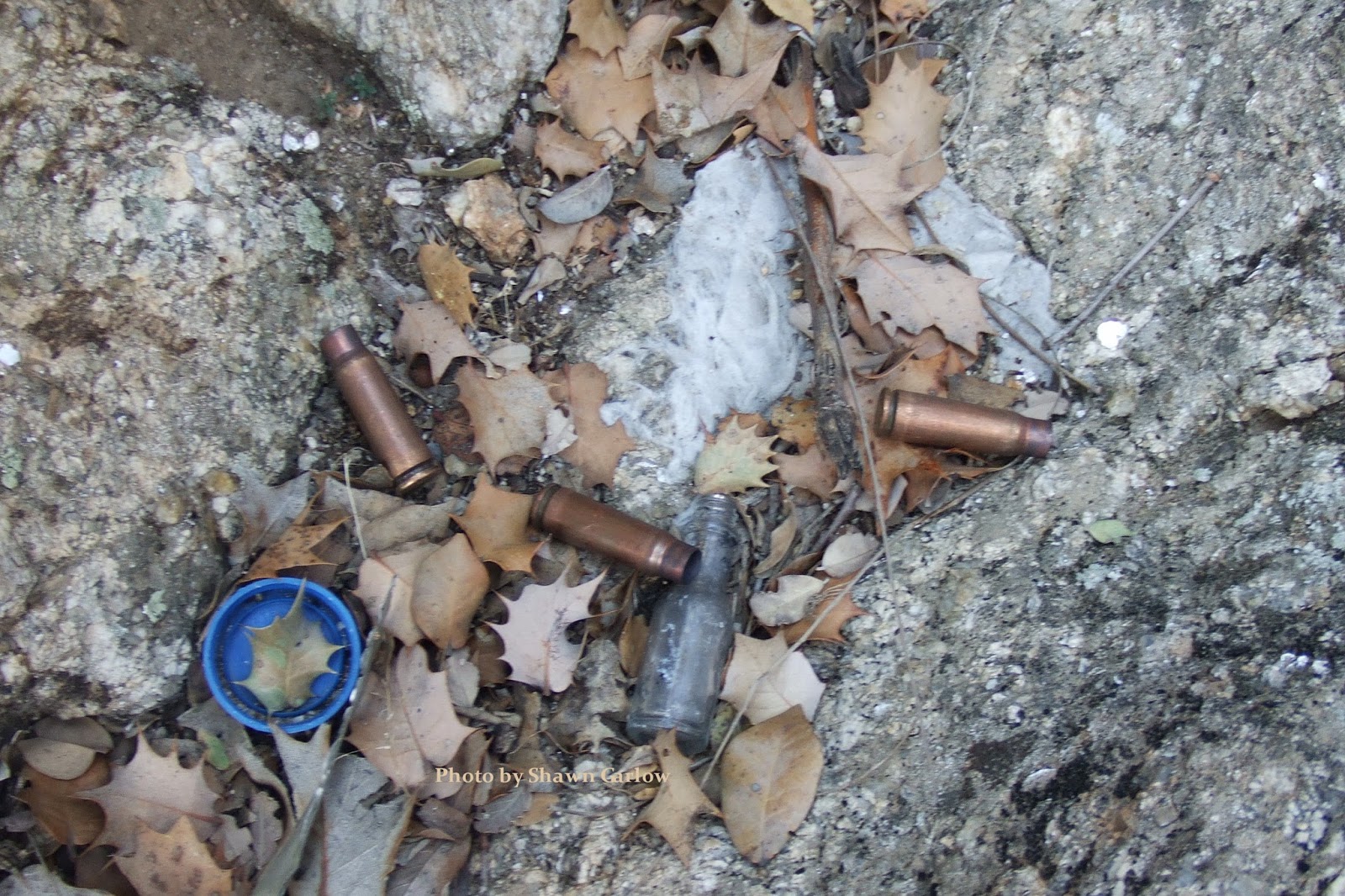 The Latest from Cactus Tactical: Weapons of the War in Afghanistan ...