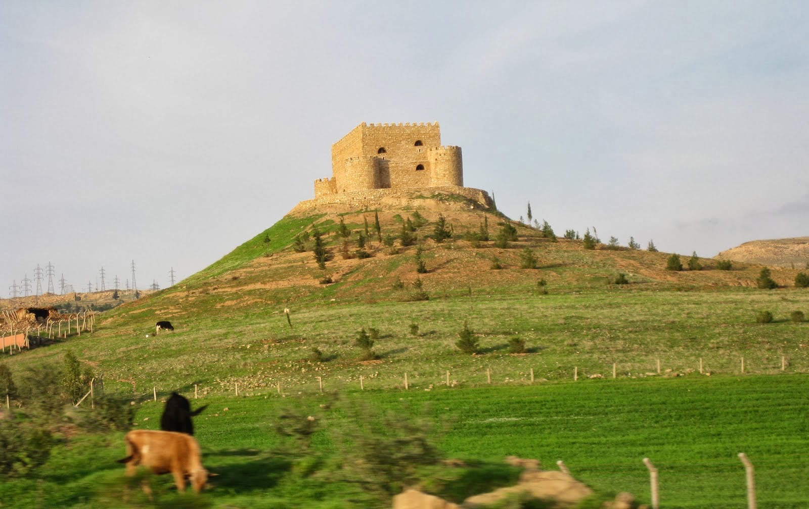 kurdistanart: Historical : The Citadel khanzadi meri soran ~ Erbil ...