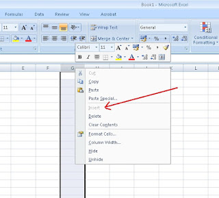 How to Enable insert option in Excel