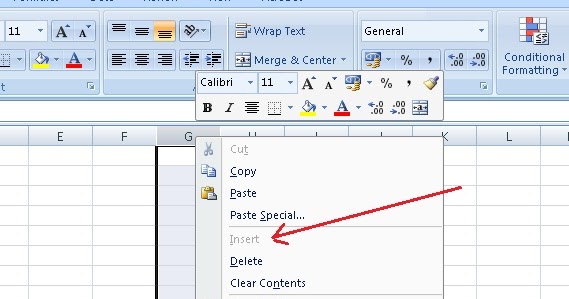 How to Enable insert option in Excel