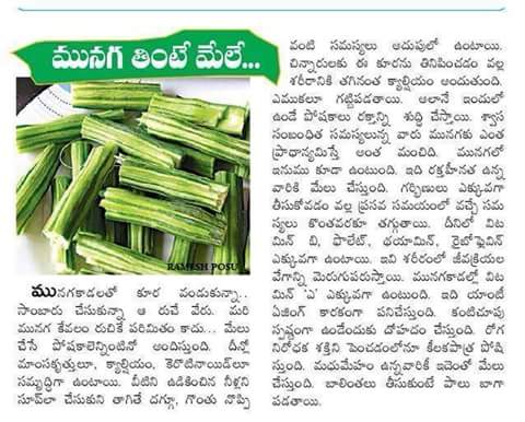 TELUGU WEB WORLD: HEALTH BENEFITS WITH MUNAGA - DRUMSTICKS