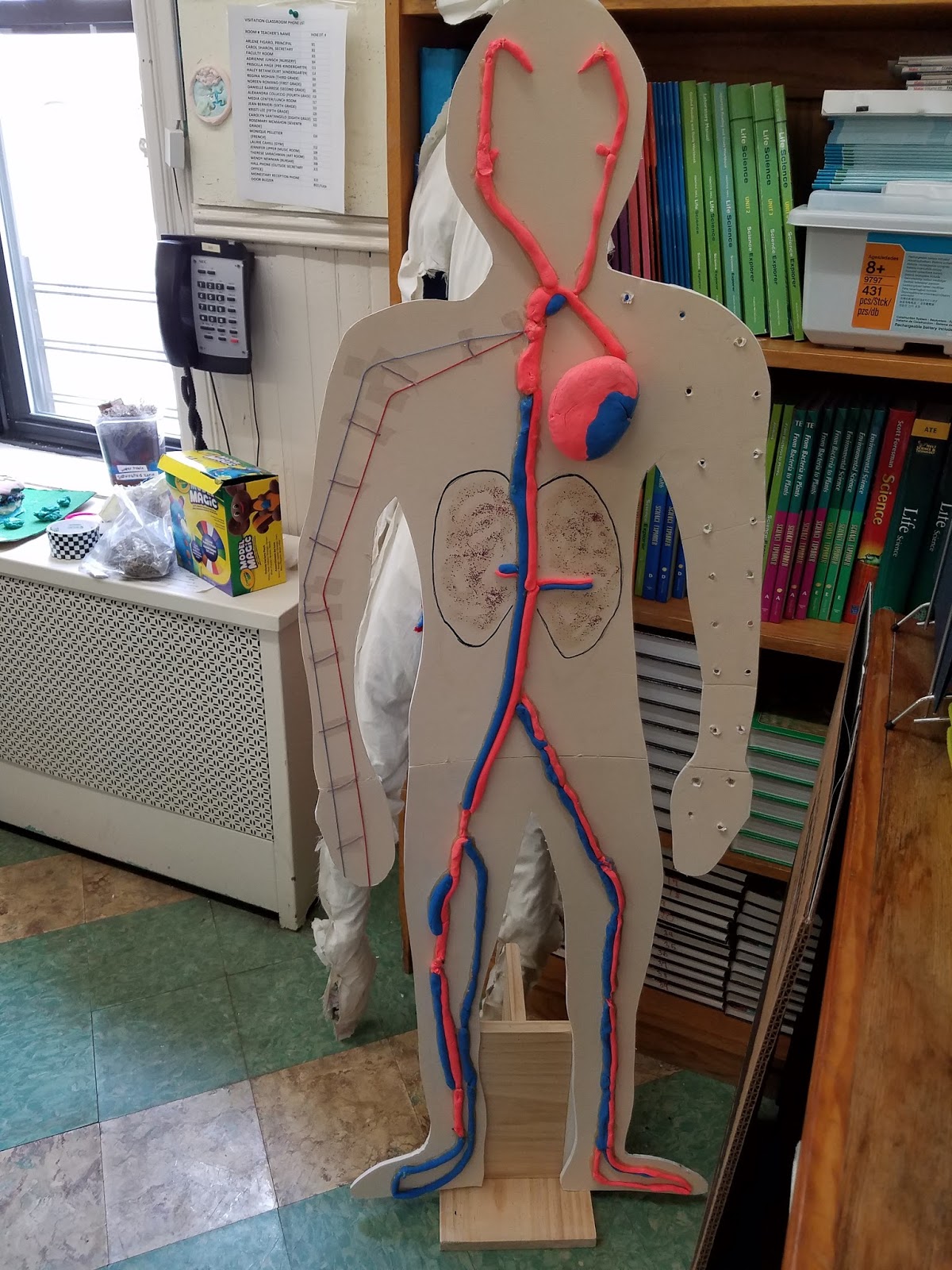 Science Time At Visitation Academy: 8th Grade Body Systems