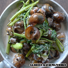 Delicious Foods in the Philippines: Kuhol sa gata