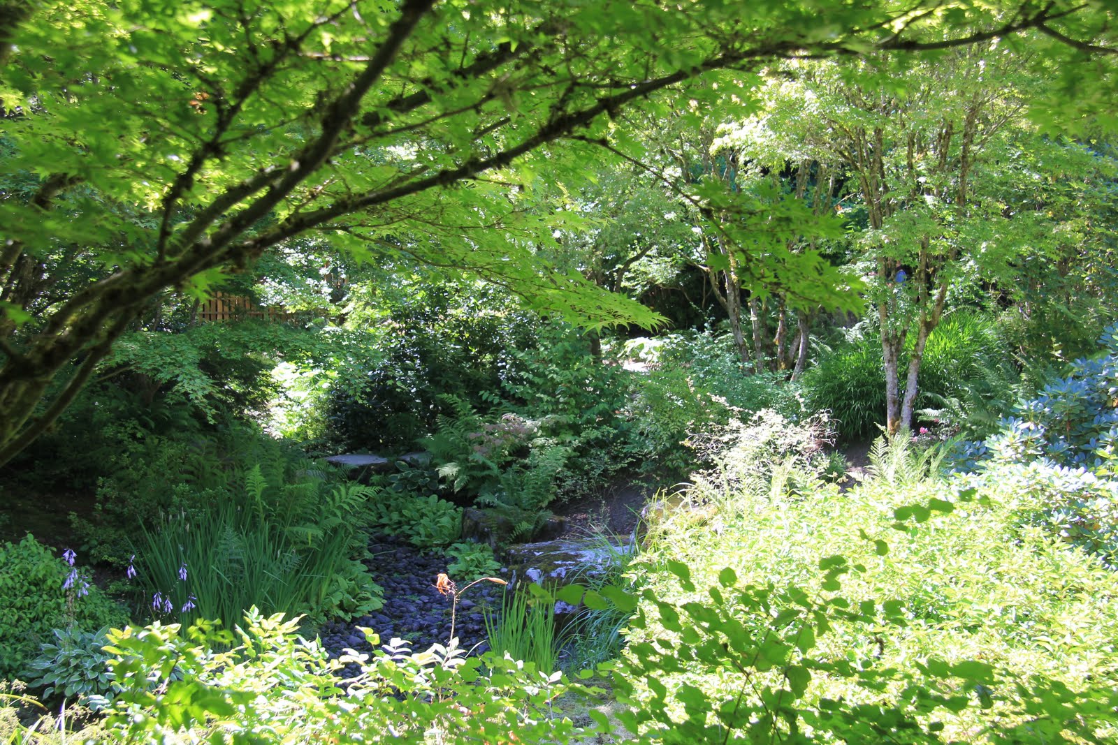 Gardening and Gardens: Seattle's Public Gardens