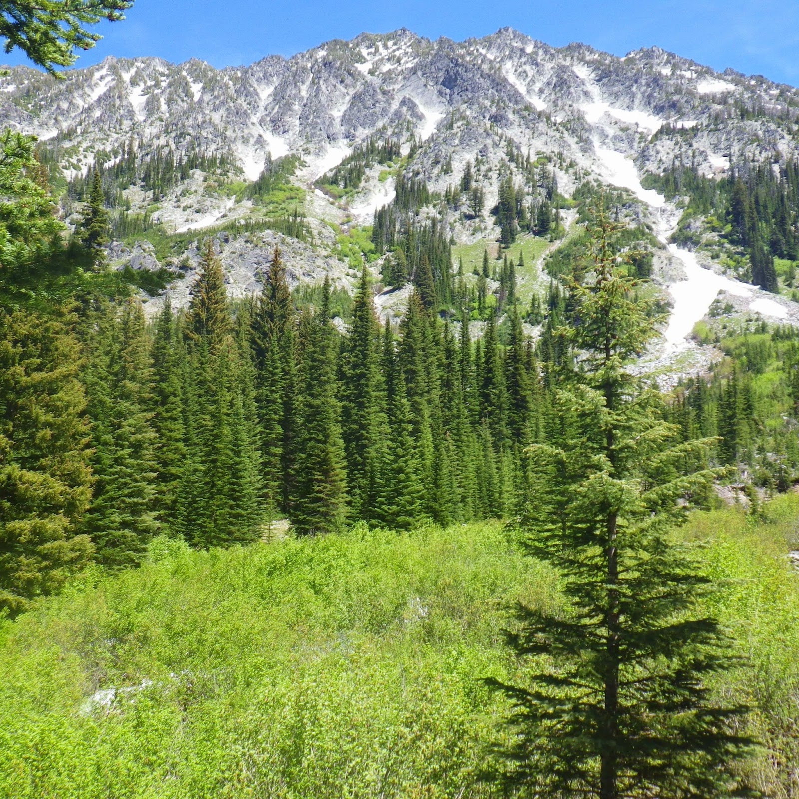 Life Less Ordinary: Backpacking Oregon: Eagle Cap Wilderness - Mirror Lake