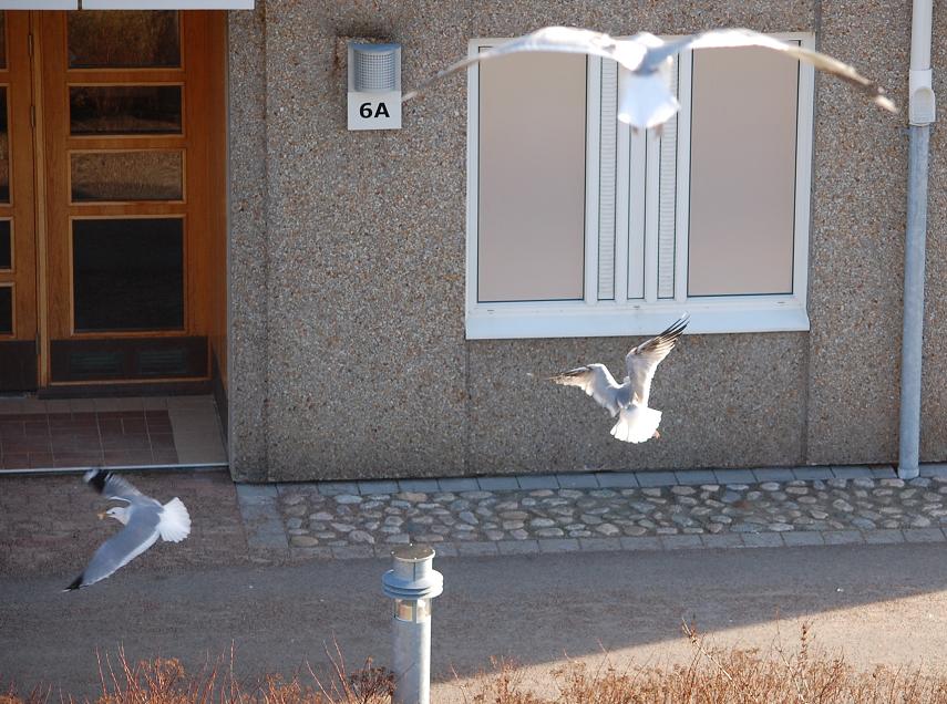 FOTOGRAF MARKUS SANDBERG