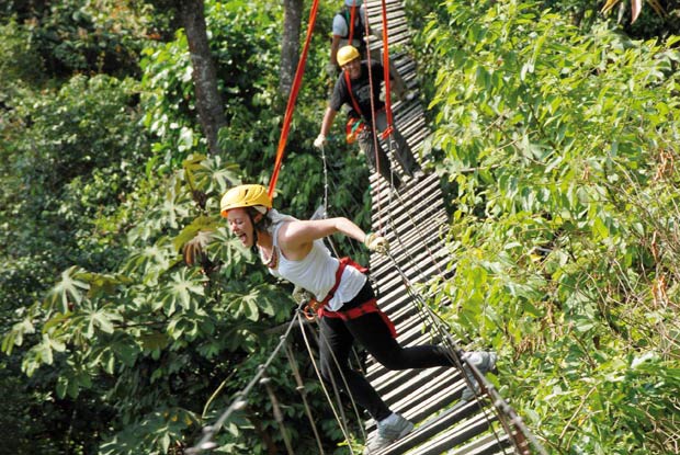 Administracion Turistica y Hotelera: ECO- PARQUE MACADAMIA