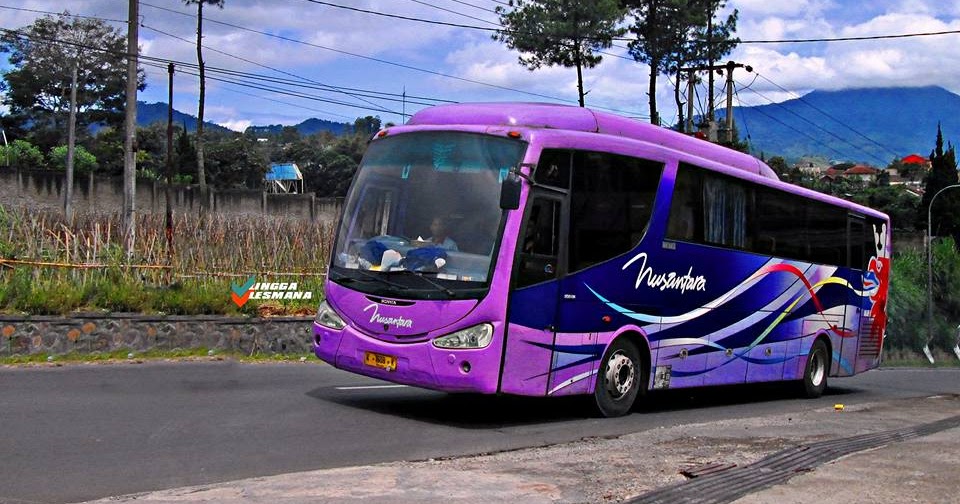 THIS IS BUS HUNTER: P.o NUSANTARA, SALAH SATU PENGUASA JALUR MURIA