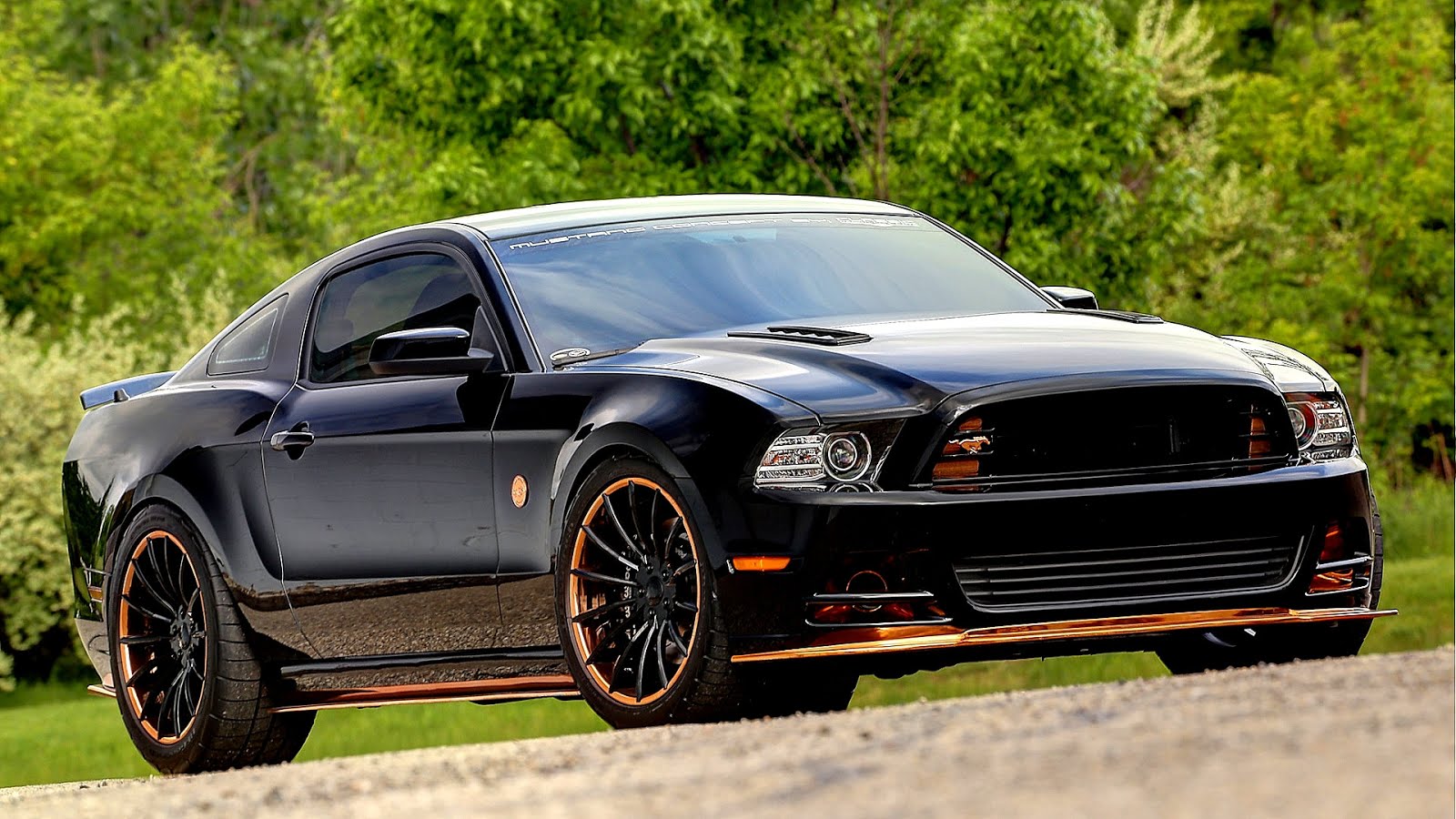 Ford Mustang (fifth generation) Black - Black Choices