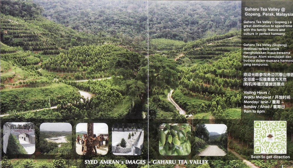 Agar Aku Tidak Lupa: GAHARU TEA VALLEY