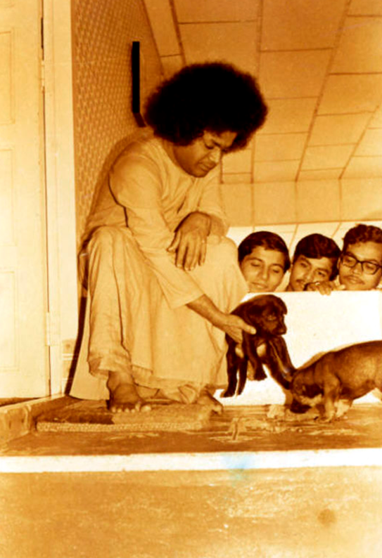 Sathya Sai with Students: When a Dog merged at the Lotus Feet of God…