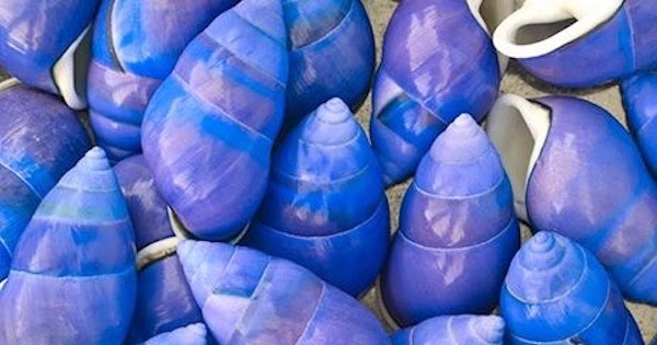 ㅤ: AZUL, e dicas com ele!