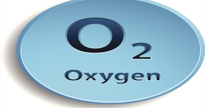 Easy Peasy Teaching 2nd grade: Respiratory System