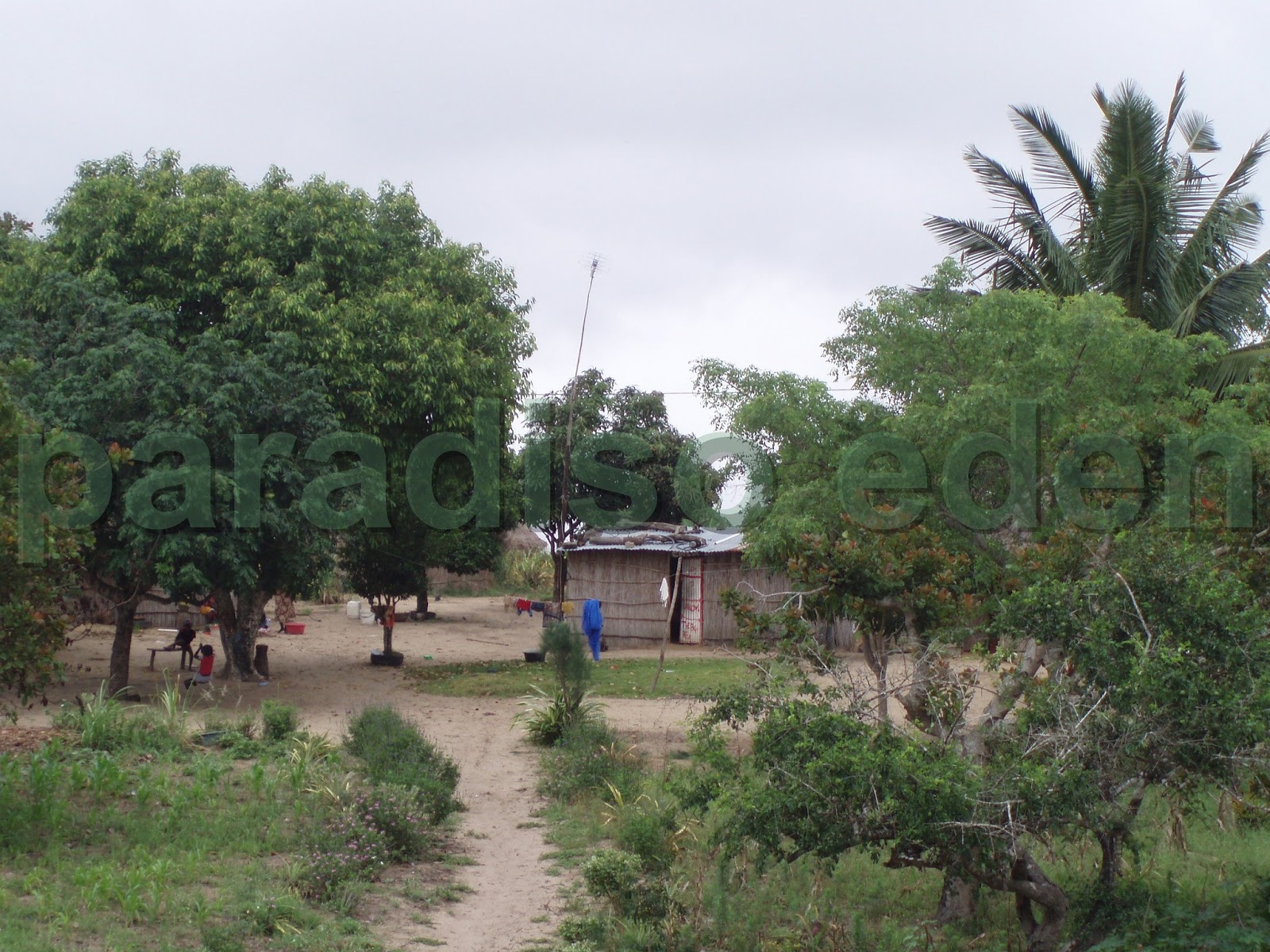 Paradiso Eden: De Macia para a Praia do Bilene