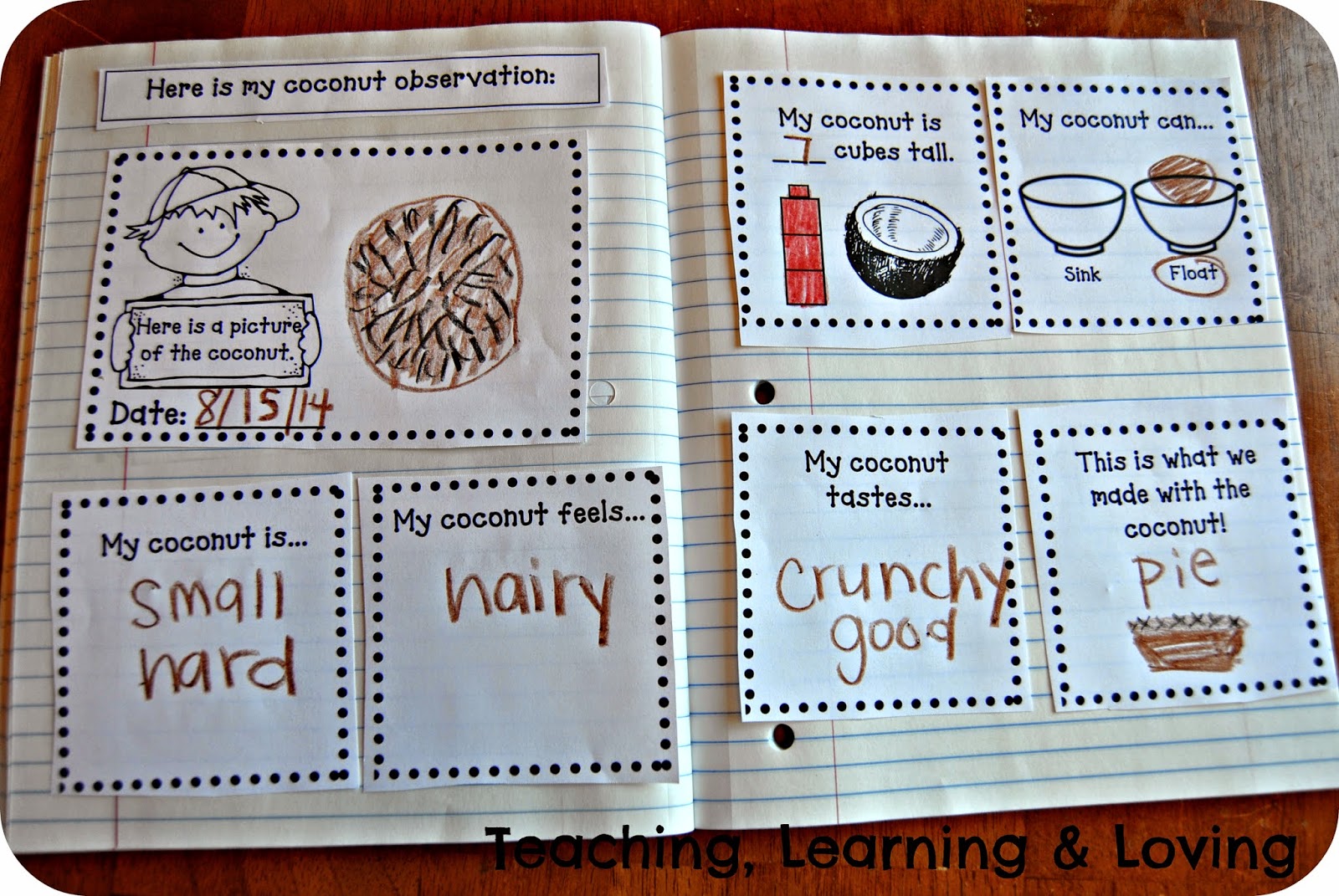 Teaching, Learning, & Loving: Chicka Chicka Boom Boom!!