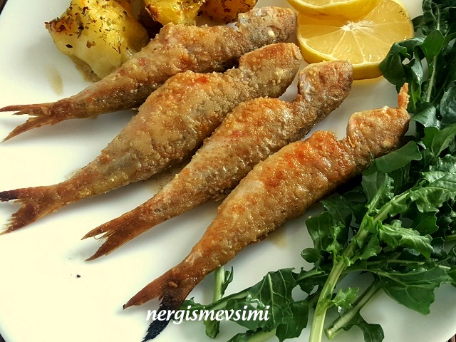 nergismevsimi: BARBUNYA BALIĞI TAVA