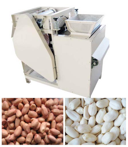 Peanut Machine: Adjustment and soaking order of peanut peeling machine