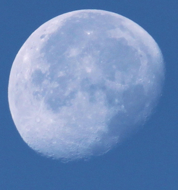 travelswithkathleen: It's a marvelous night for a moondance