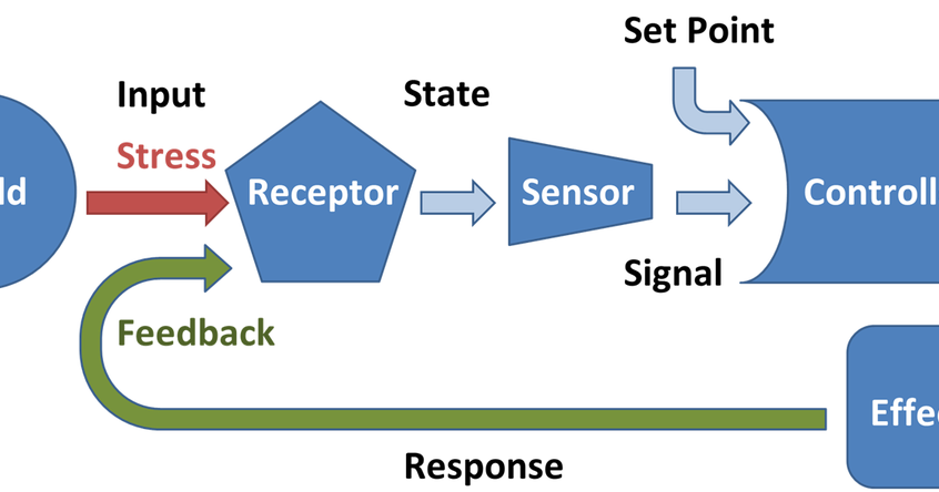 Homeostasis or Osmoregulation, Homeostatic Process and the Parts ...