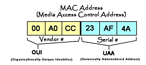 Ankit Aparajey: Network Articles MAC address Vs IP address.