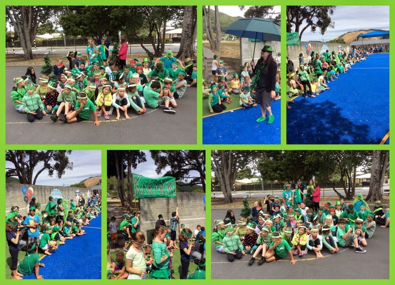 Room 2 Waikanae School: Kakariki