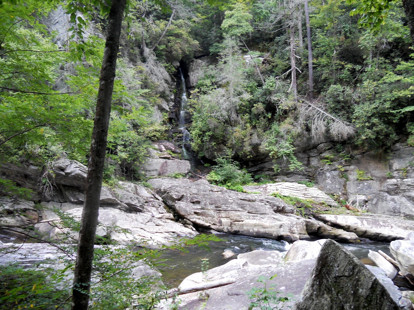 Hiking with a Fat Bald White Guy: Linville Gorge - Spence Ridge ...