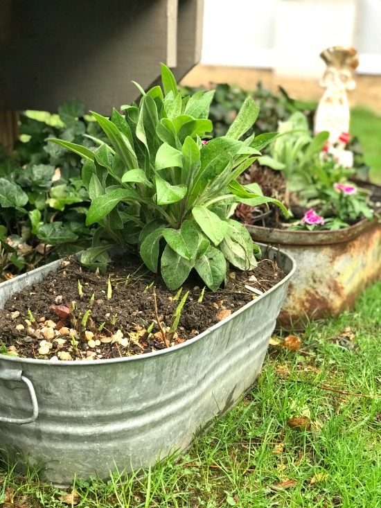 Repurposed Planter Ideas for the Garden