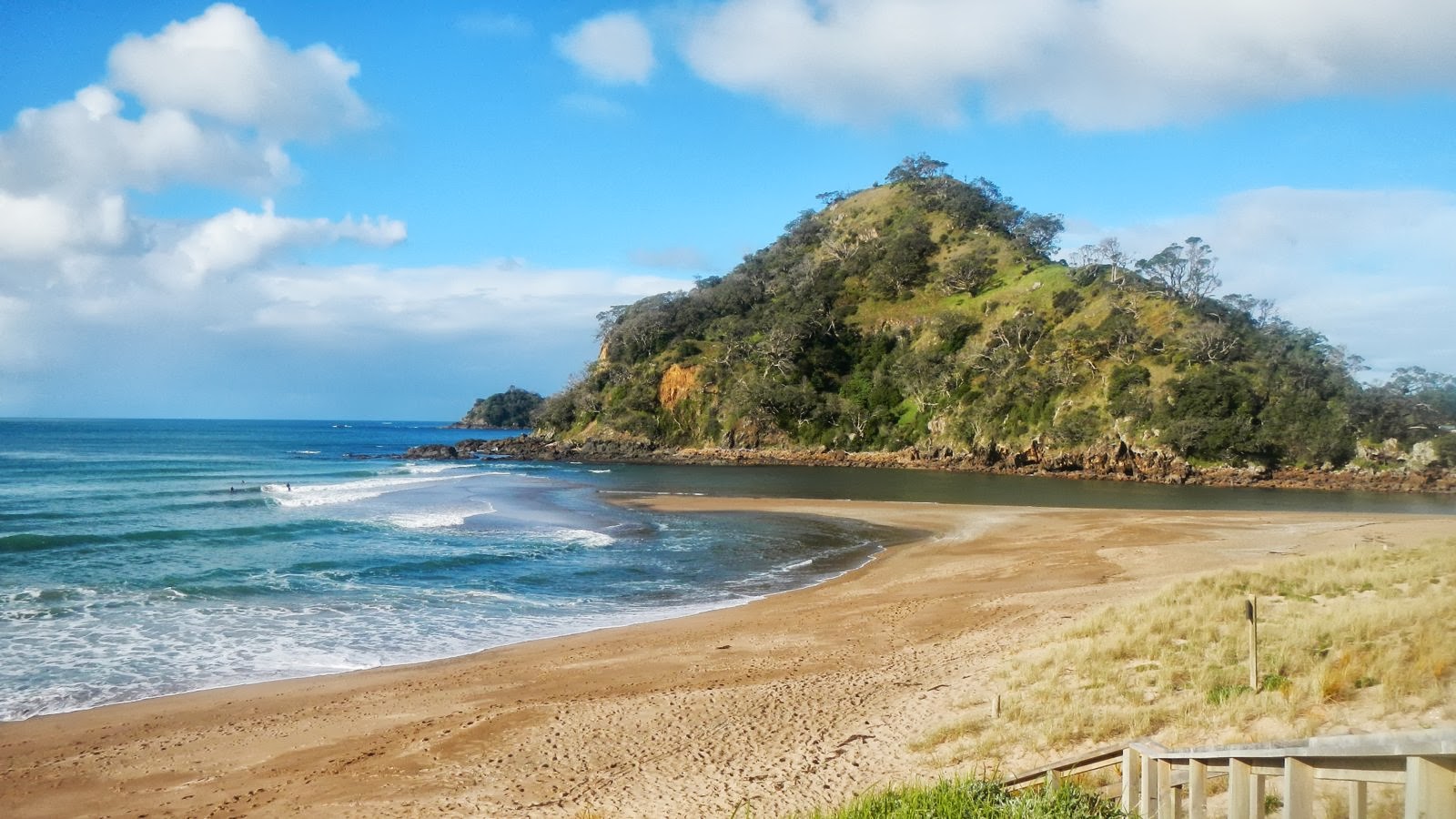 Licorice Allsorts: Adventures at Pataua South