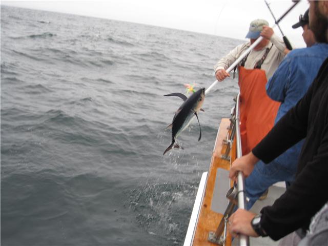 Bryanlikestofish: Silver Bullet