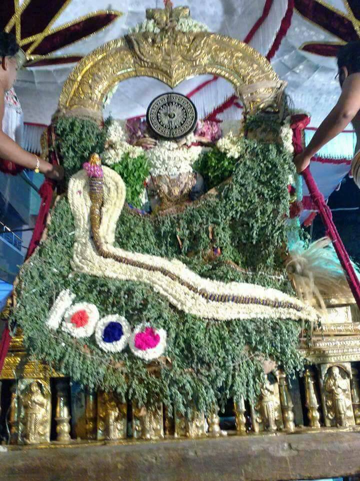 Suparni Devi: Ramanujacharya : The Adhisesha Avaratam