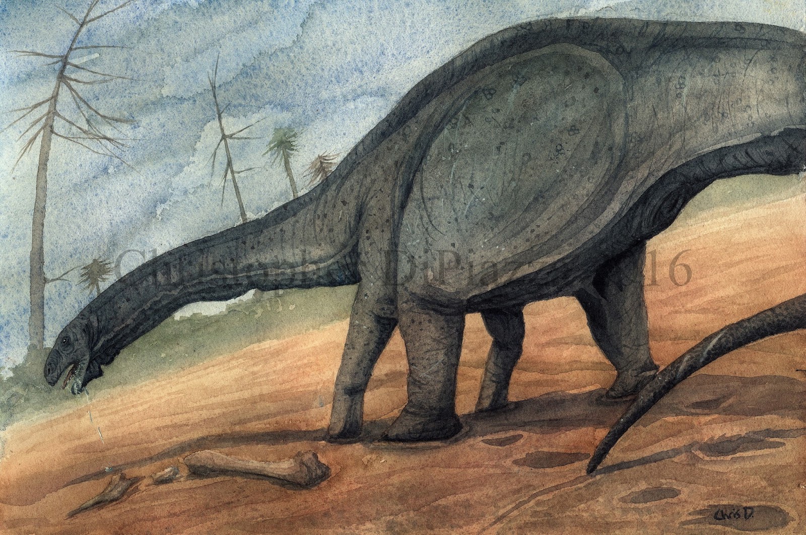 Patagotitan. Art by Chris D | Dinosaur posters, Prehistoric animals ...