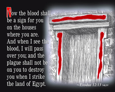 A Layman Looks at the Word: Grapes of Life